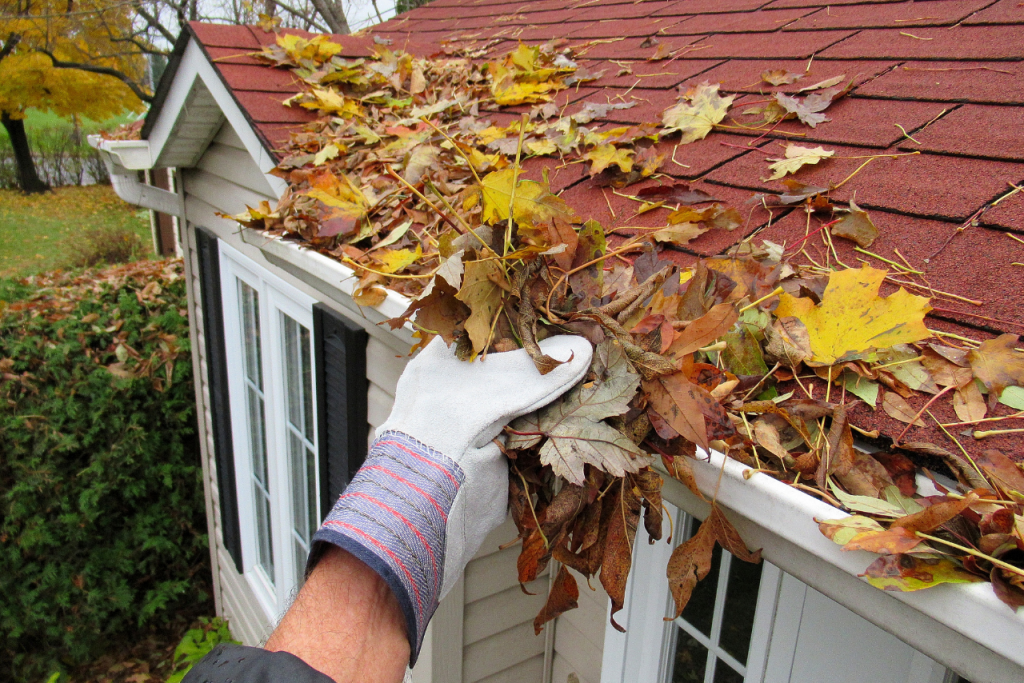 Gutter Cleaning Service in Peoria IL | Flush The Guts Inc.